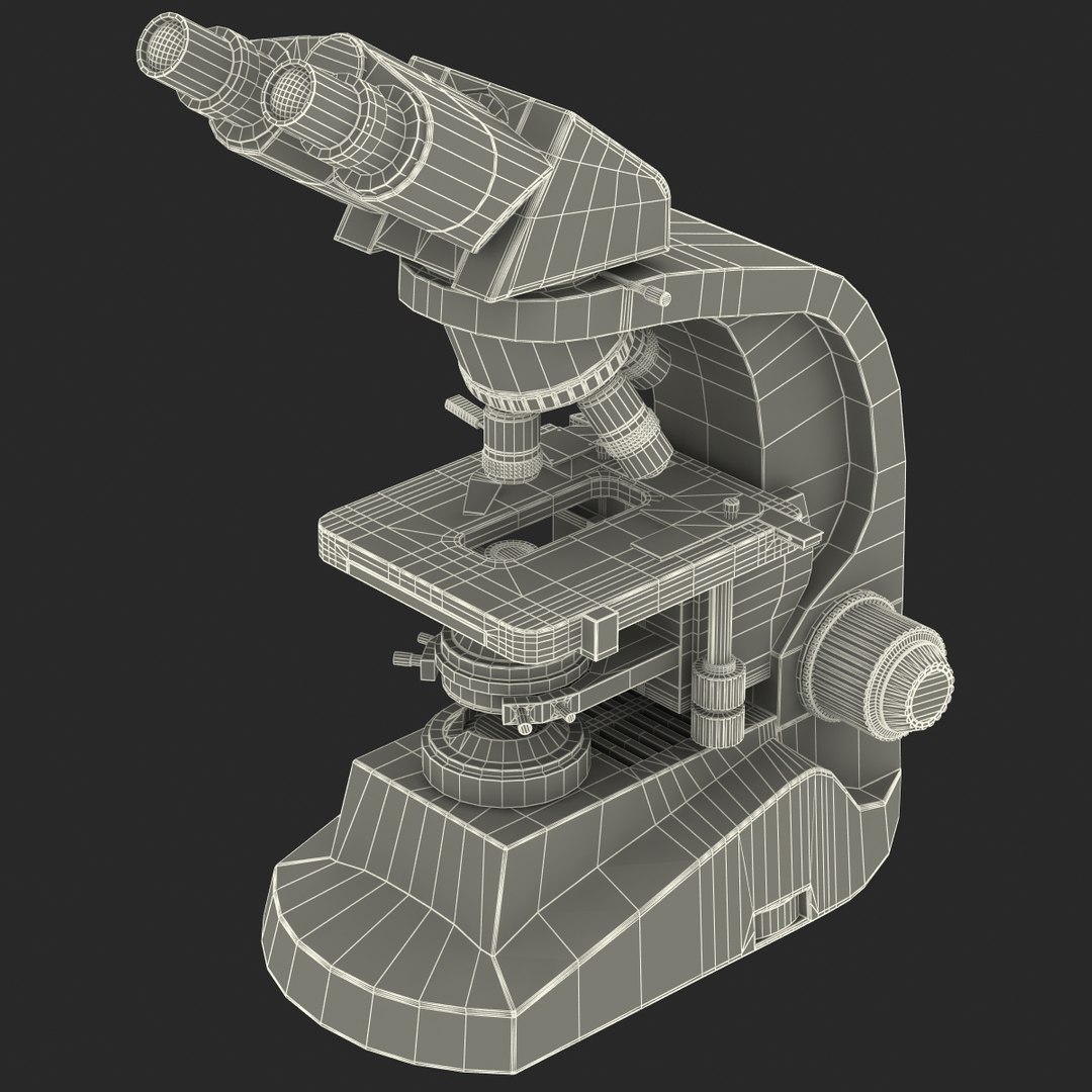 3d microscope micro