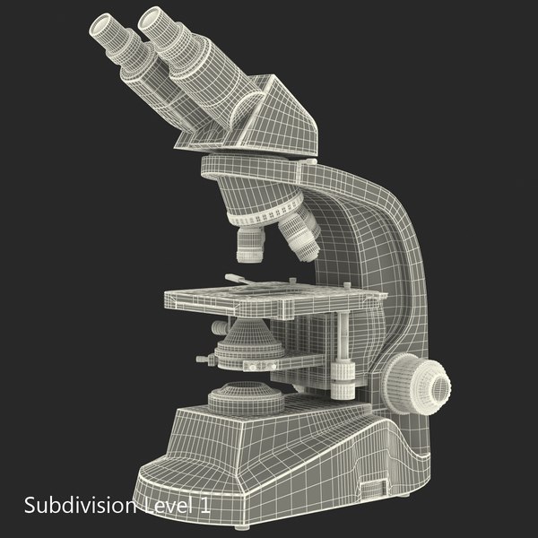 3d microscope micro