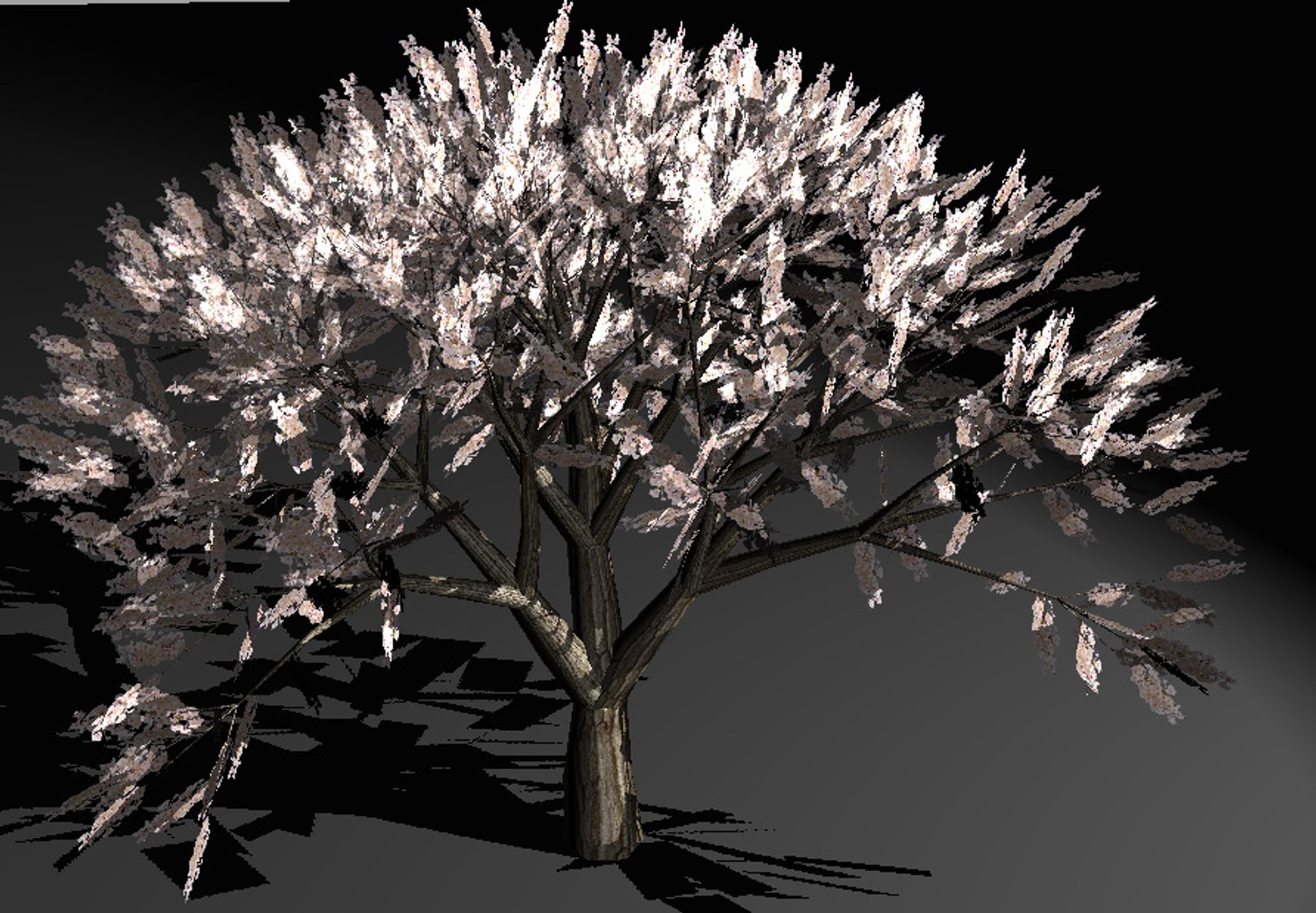 3d Model Cherry Tree