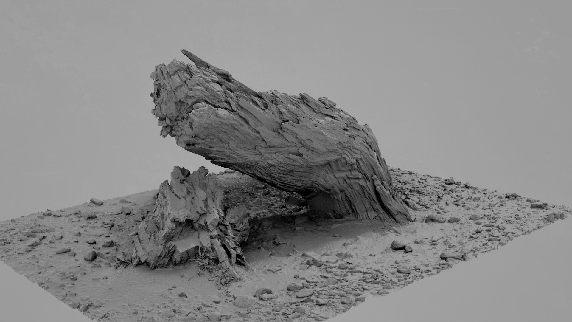 3D Model Dead Tree 002 - TurboSquid 2324898