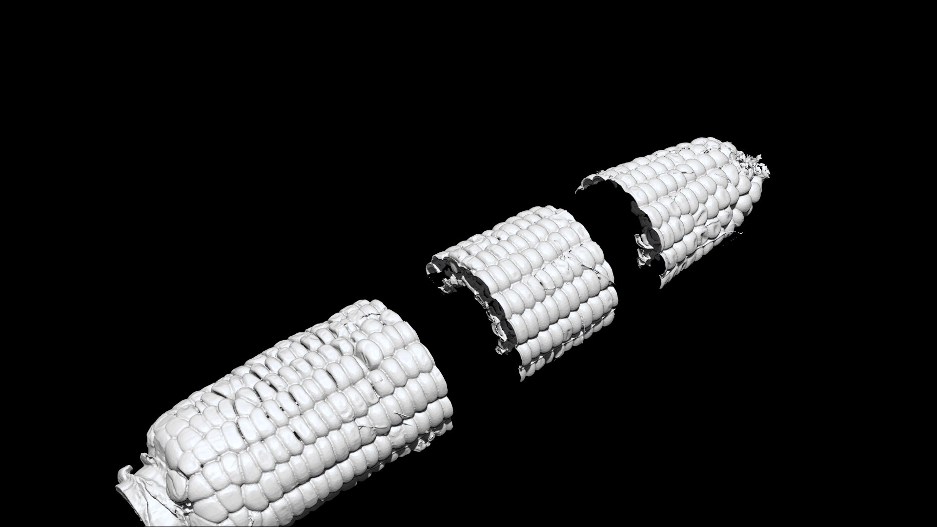 3D Model Corn 3D CT Scan Model Cut3 Half Decimate 30 Percent ...