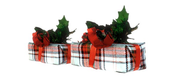 3D CHRISTMAS GIFT BOX 2020 - TurboSquid 1981191