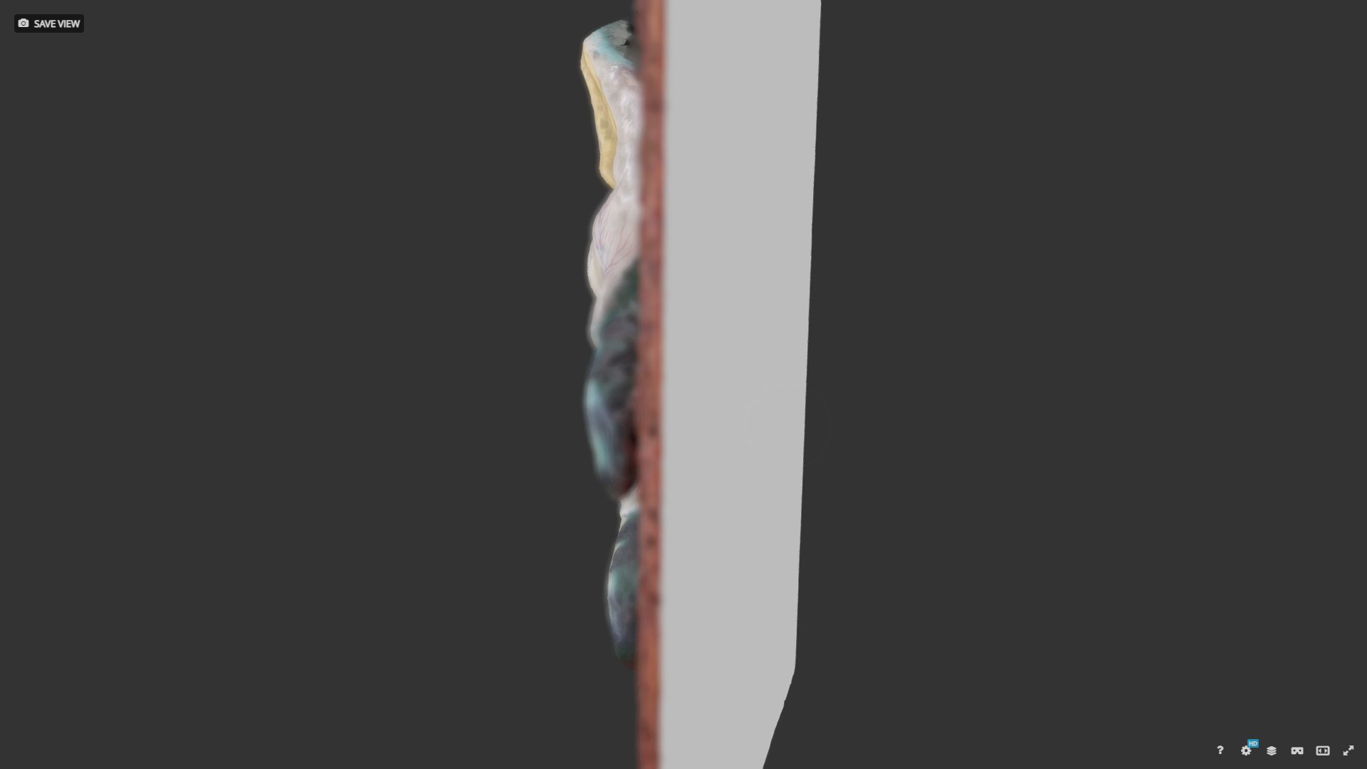 Anatomy Plaster Frog Model 3D Model - TurboSquid 2324613