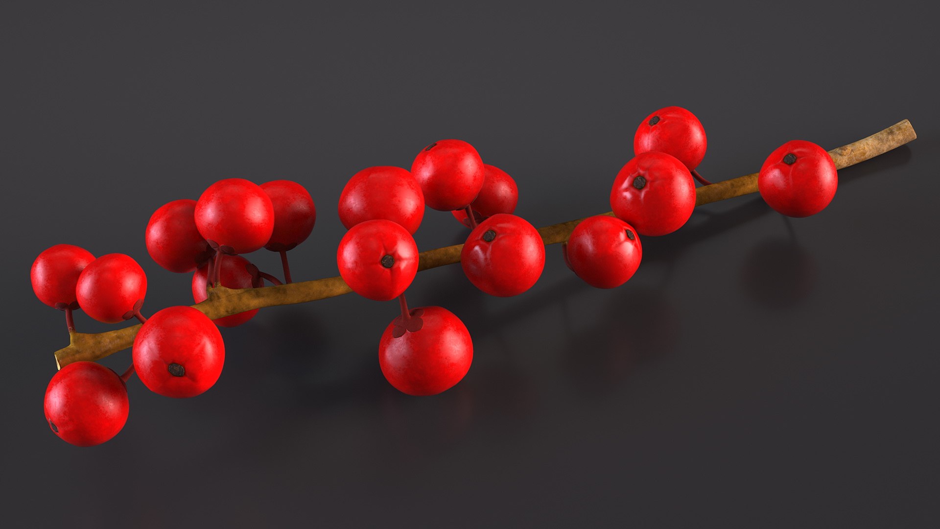Ilex Aquifolium Berries on Branch 3D model - TurboSquid 2075459