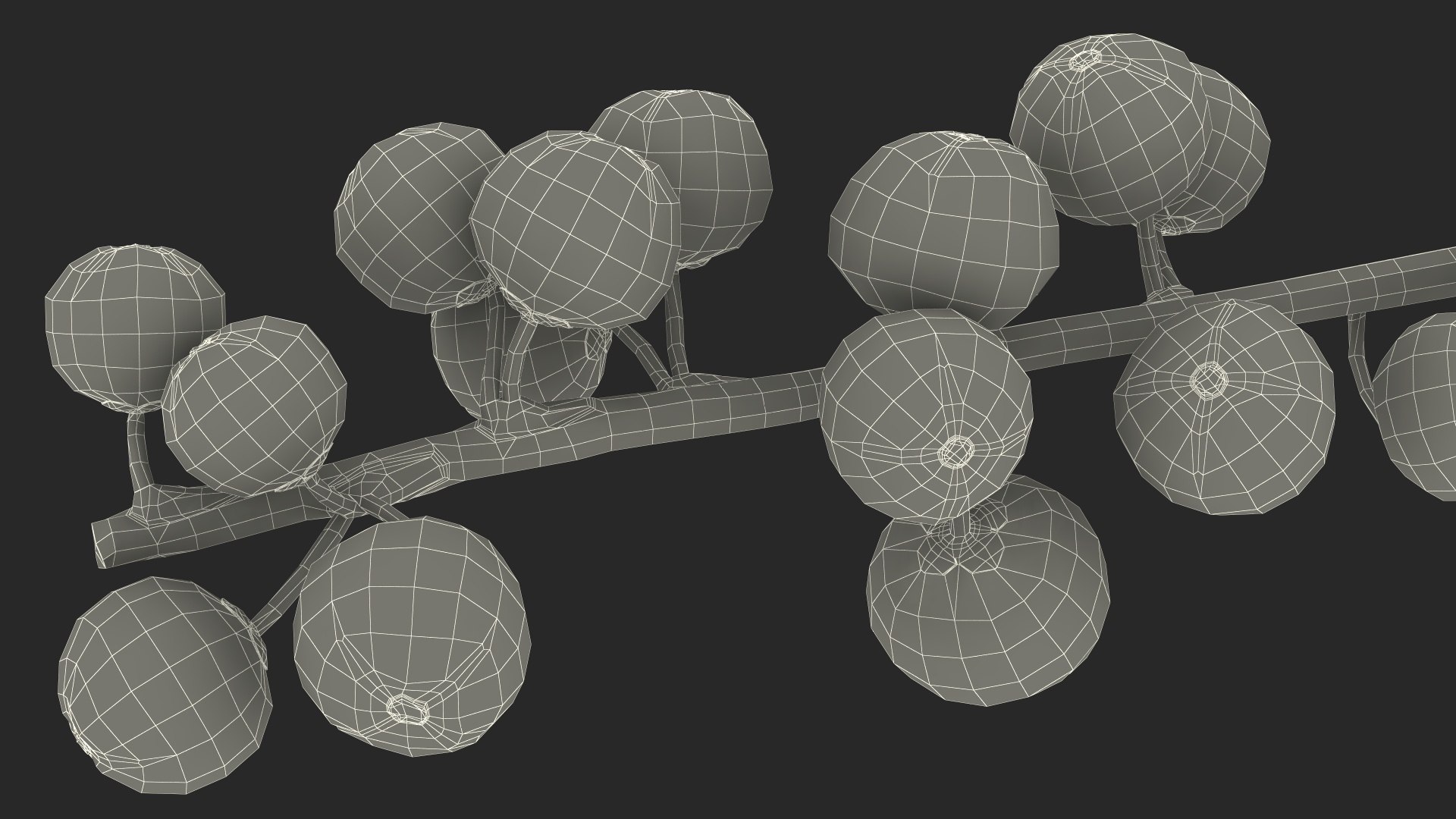 Ilex Aquifolium Berries on Branch 3D model - TurboSquid 2075459
