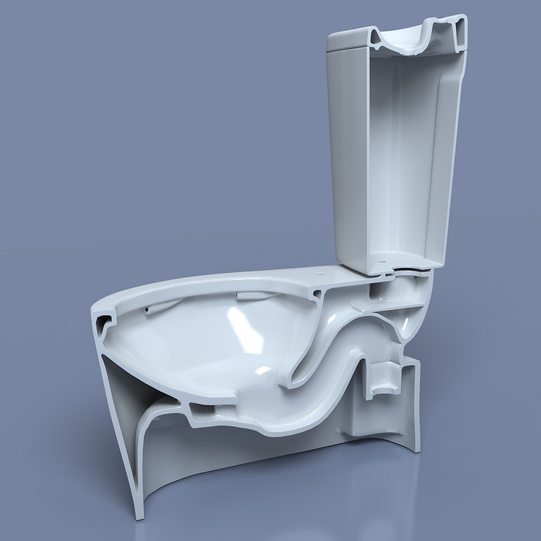 3d Model Toilet Cut Half