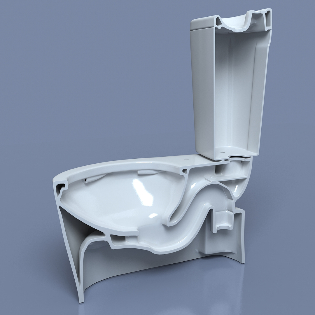 3d model toilet cut half