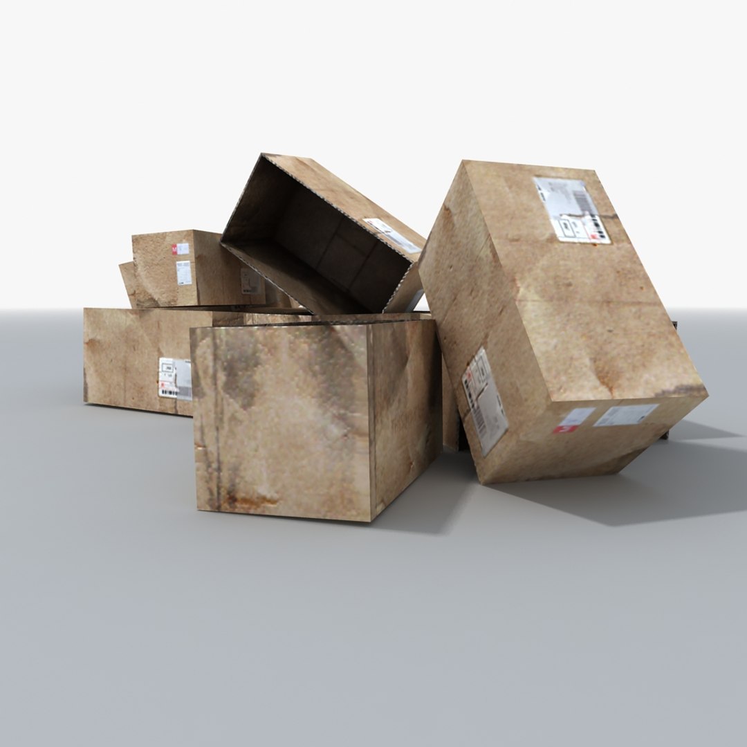 Max Cardboard Box