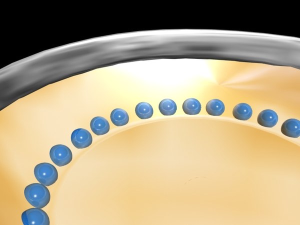 Free 3D Plates Models | TurboSquid