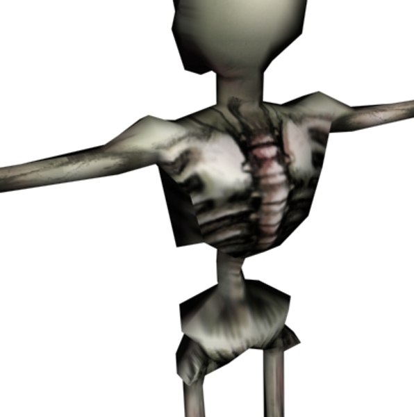 zombie skeleton undead 3d model