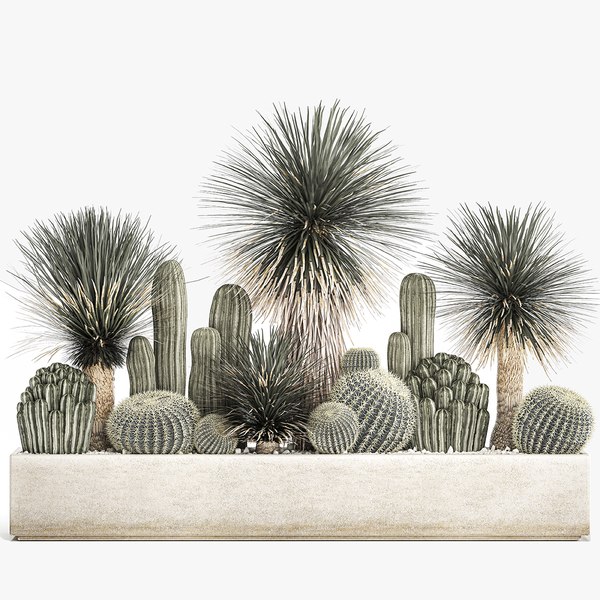 Cactus definido em um vaso de concreto para o interior 1099 Modelo 3D ...