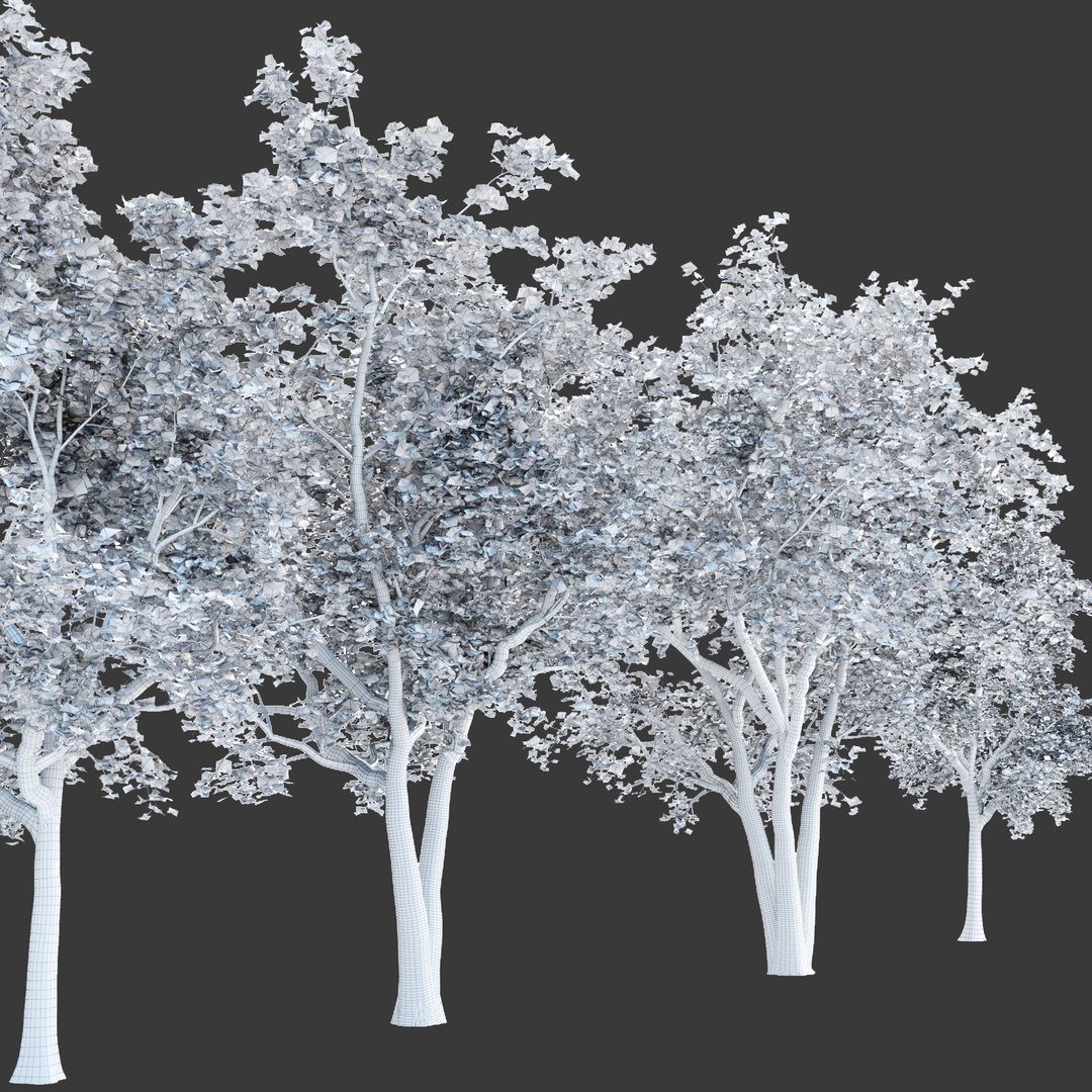 3D Trees collection vol 247-3dsmax - TurboSquid 2179683