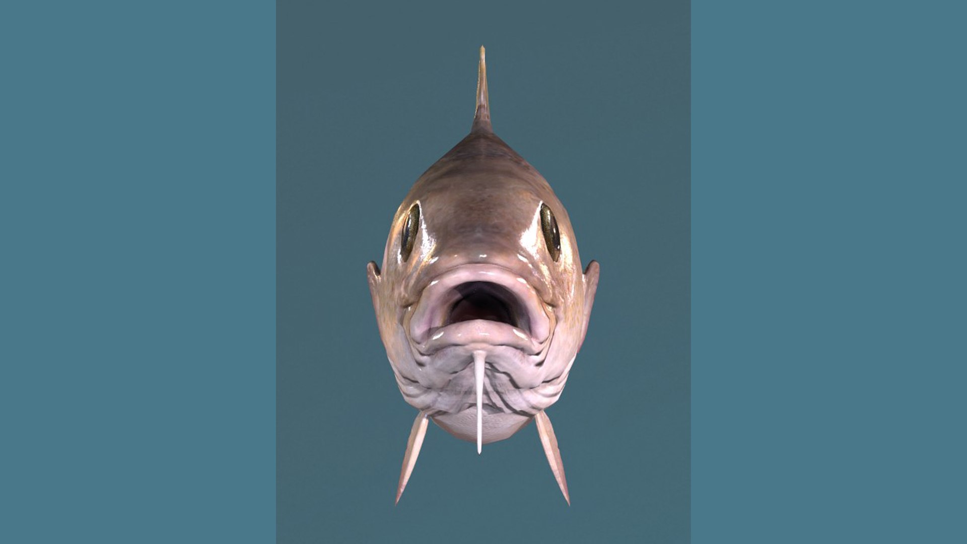 3D Cod Fish Low-poly 3D Model Model - TurboSquid 1981849
