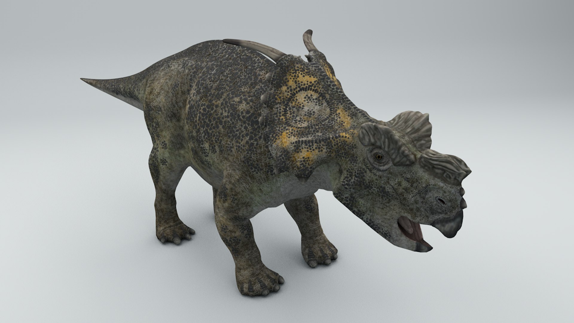 Achelousaurus Dinosaur Rigged 3D Model - TurboSquid 1317927