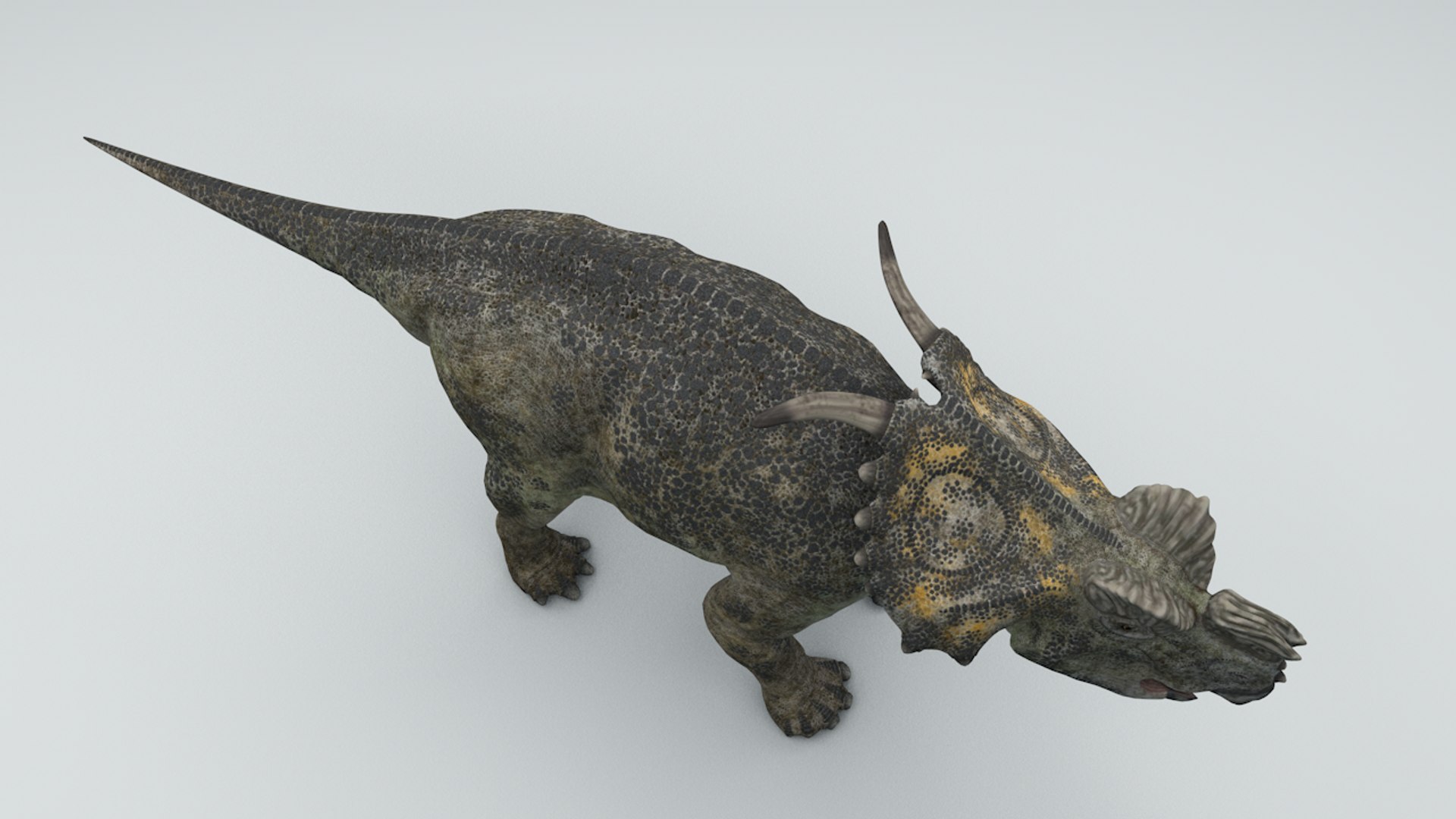 Achelousaurus Dinosaur Rigged 3D Model - TurboSquid 1317927