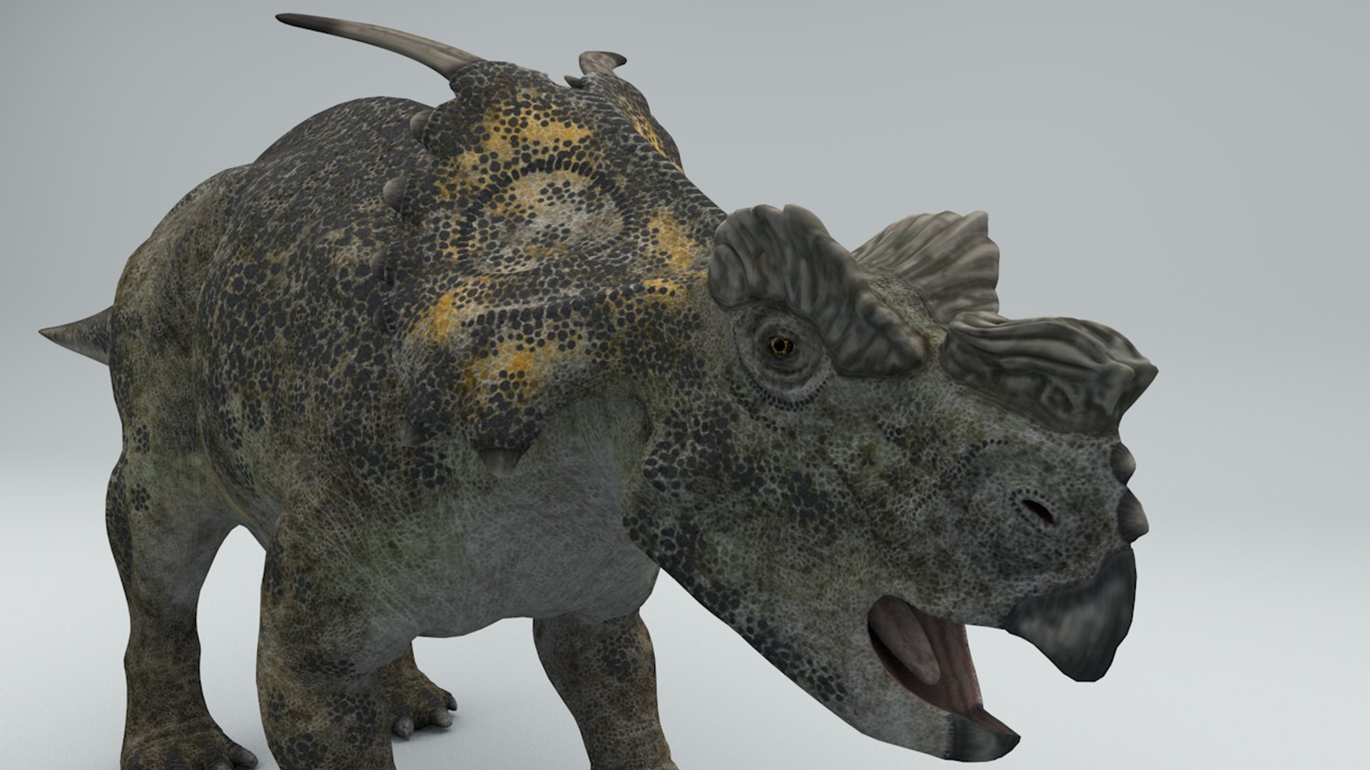 Achelousaurus Dinosaur Rigged 3D Model - TurboSquid 1317927