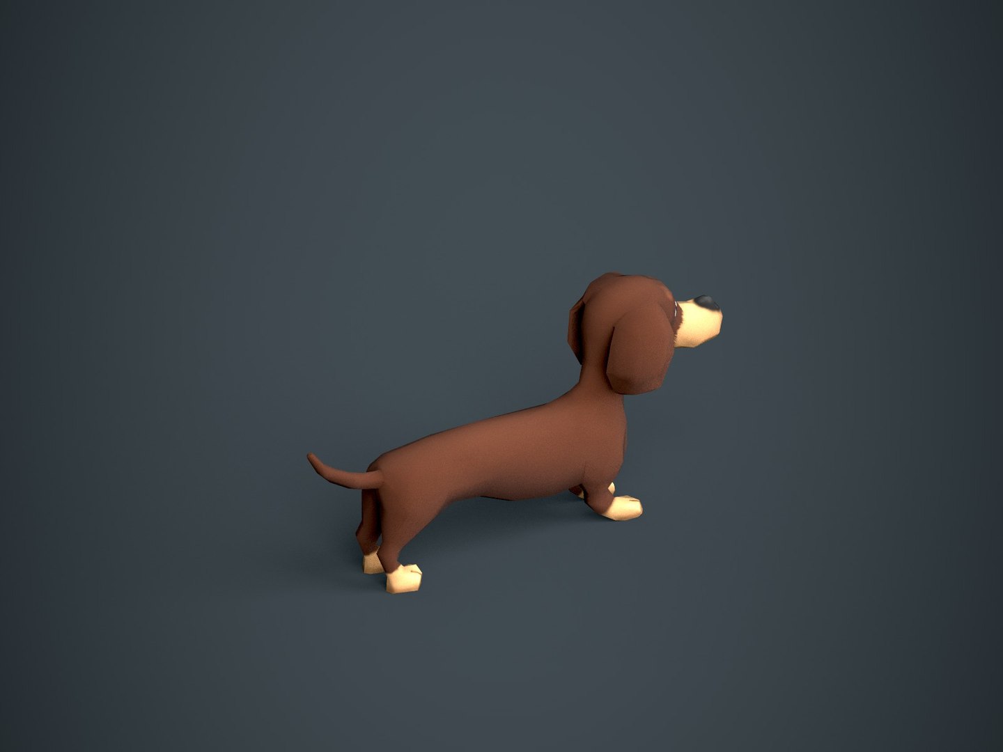 3D Stylized Dachshund Dog Model - TurboSquid 1478821