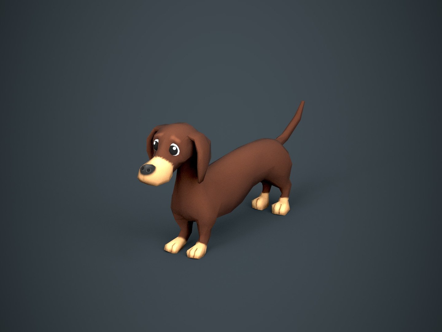3D Stylized Dachshund Dog Model - TurboSquid 1478821