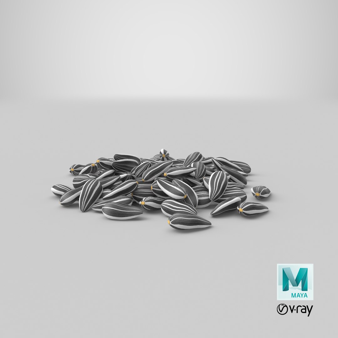 Sunflower seeds pile 3D model - TurboSquid 1408232