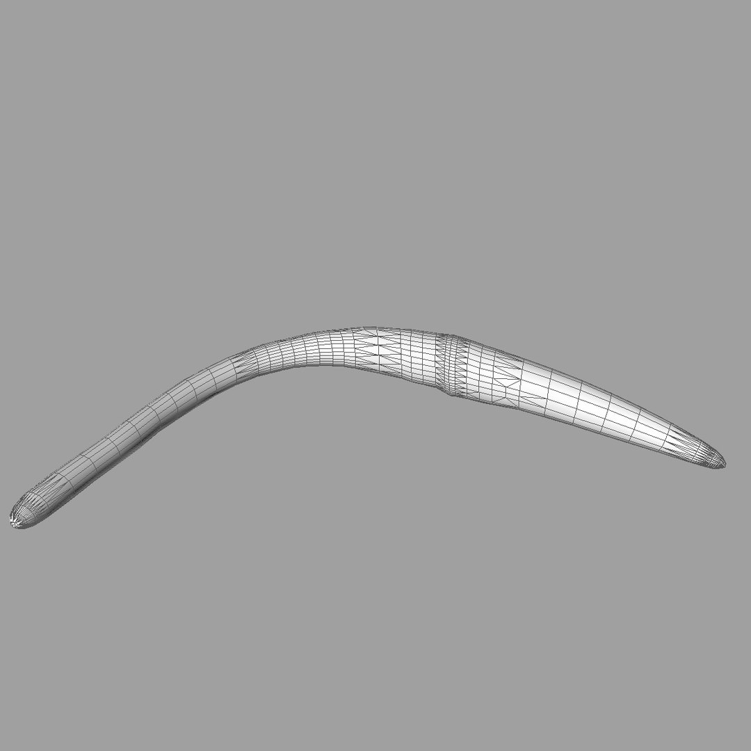 Maya Worm Worm