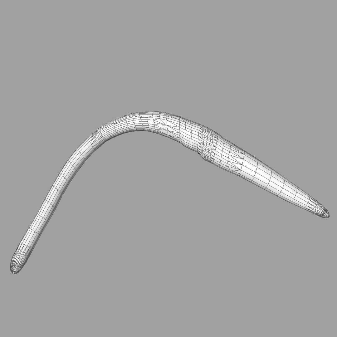 Maya Worm Worm