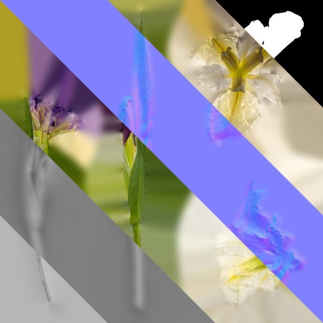 3D Anydrafts Iris Tectorum Atlas 08 Textures Model - TurboSquid 2356266