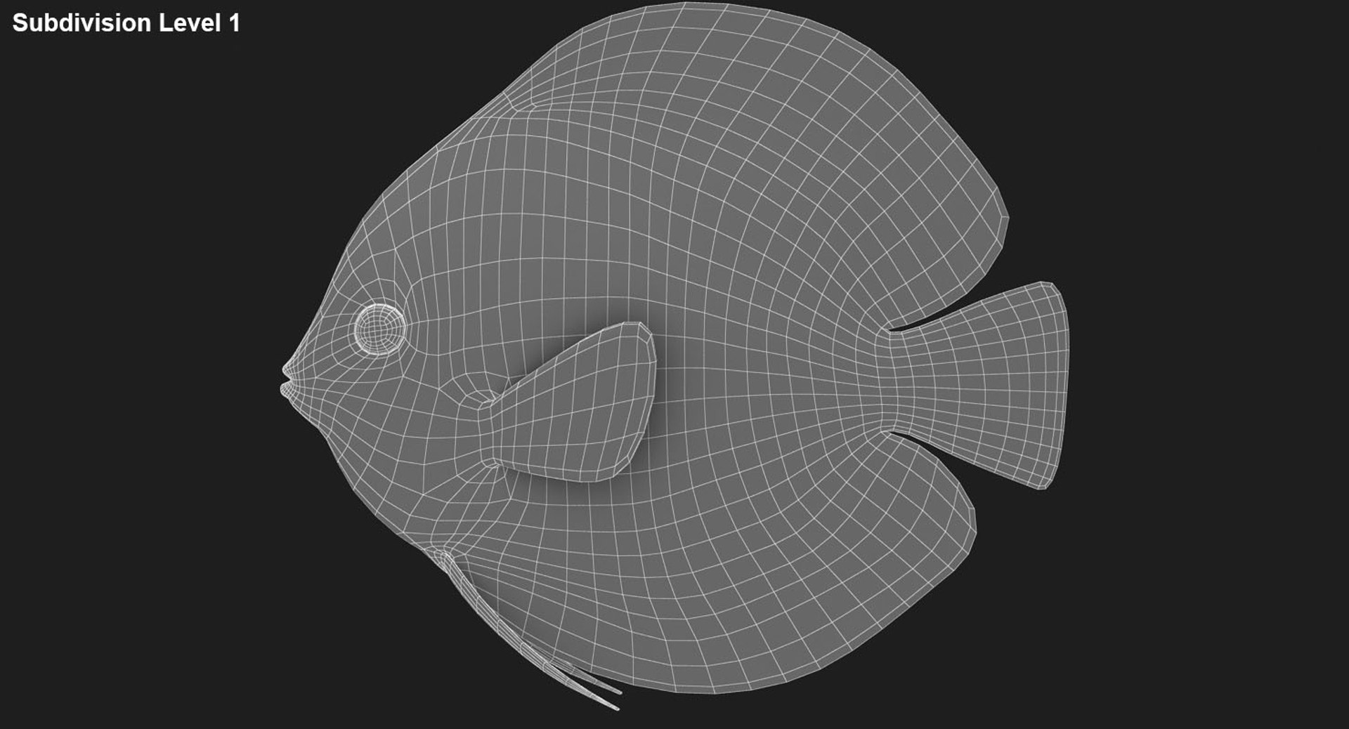 3D Discus Fish 2 Scanline Model - TurboSquid 1186479