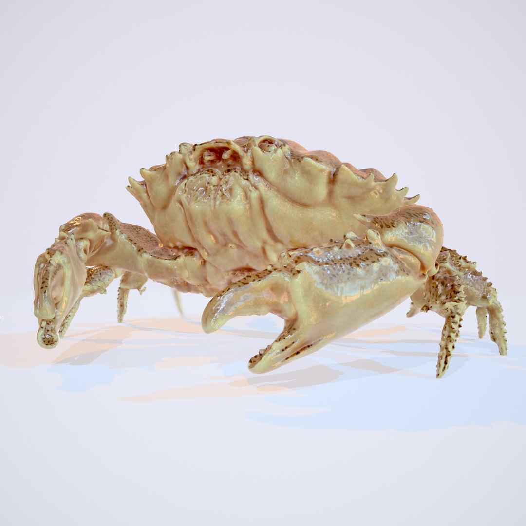 3d Model Of Alien Crab Rigged