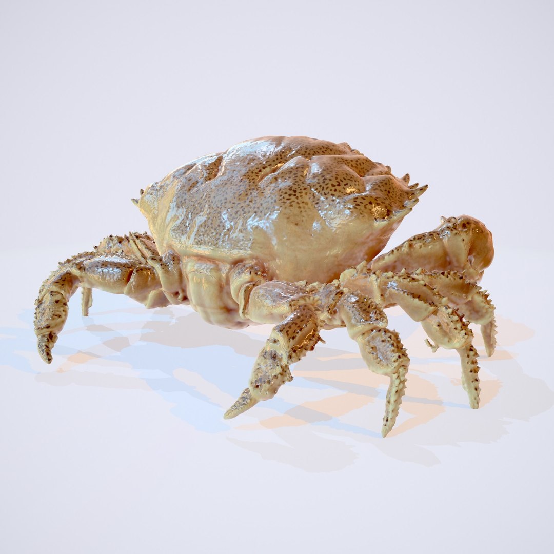 3d Model Of Alien Crab Rigged