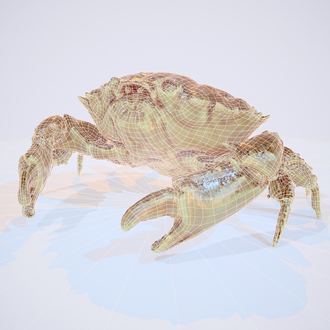 3d Model Of Alien Crab Rigged