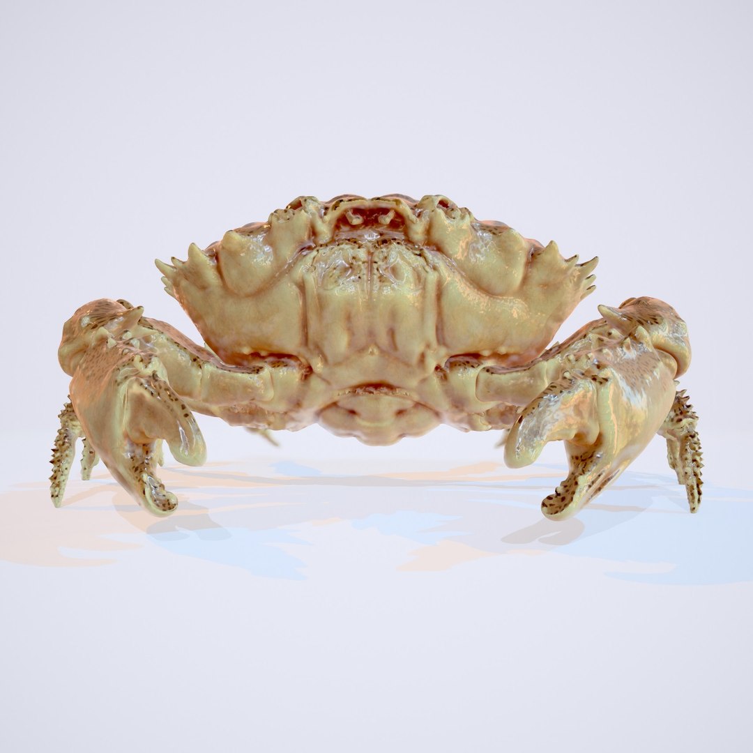 3d Model Of Alien Crab Rigged
