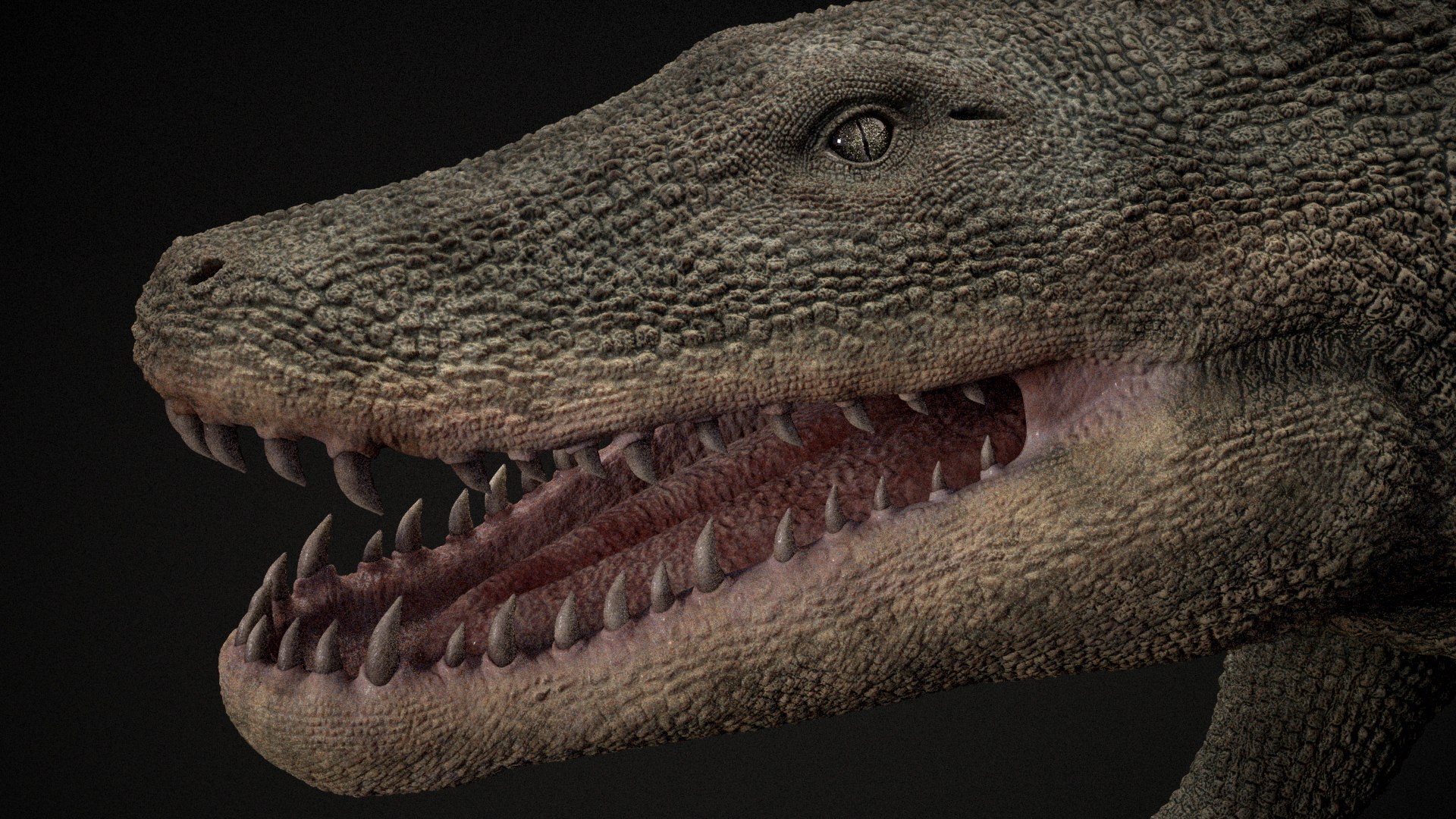 Extinct Mekosuchinae Quinkana 3D - TurboSquid 2328190