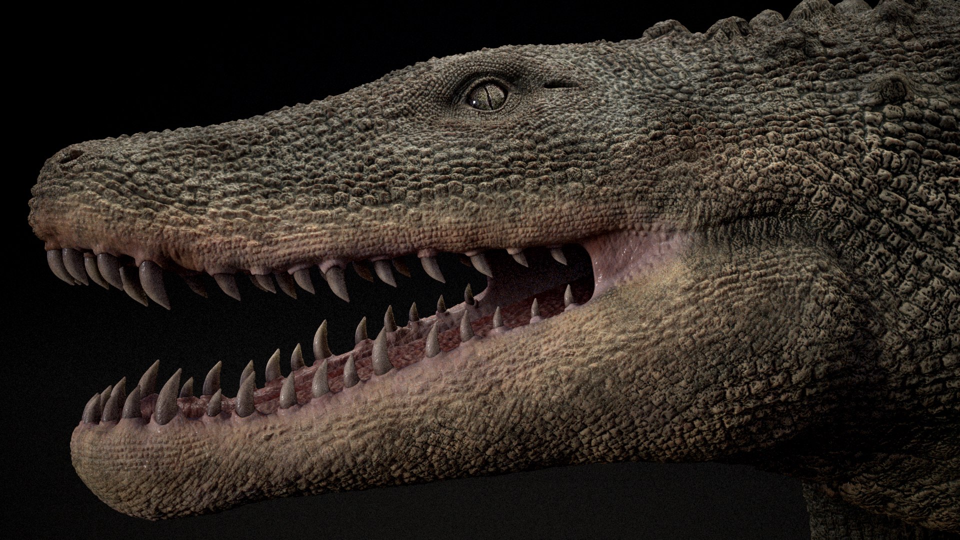 Extinct Mekosuchinae Quinkana 3D - TurboSquid 2328190