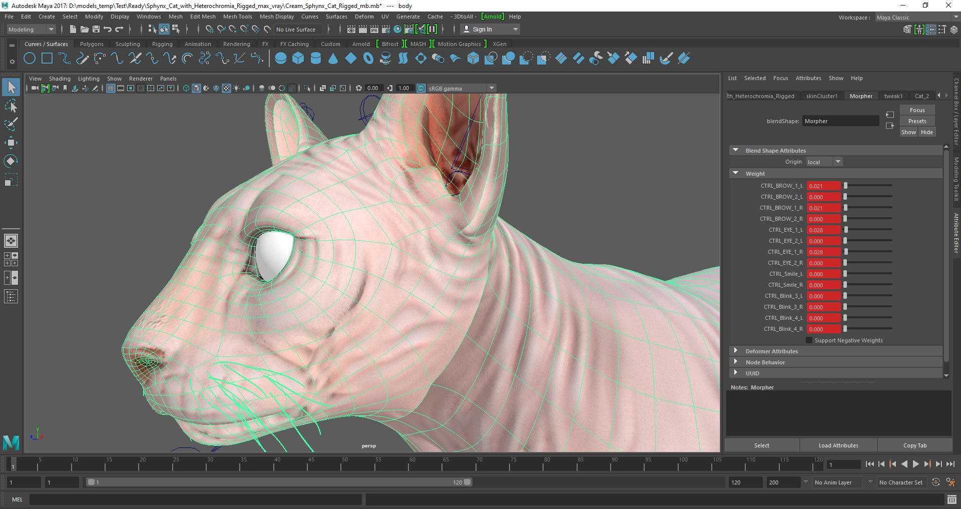 3D Cream Sphynx Cat Rigged - TurboSquid 1657463