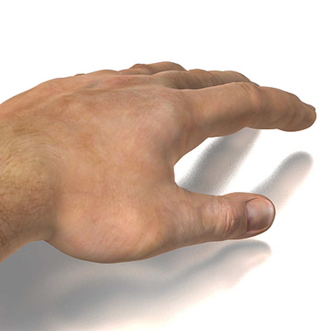 3dsmax Photorealistic Human Hand