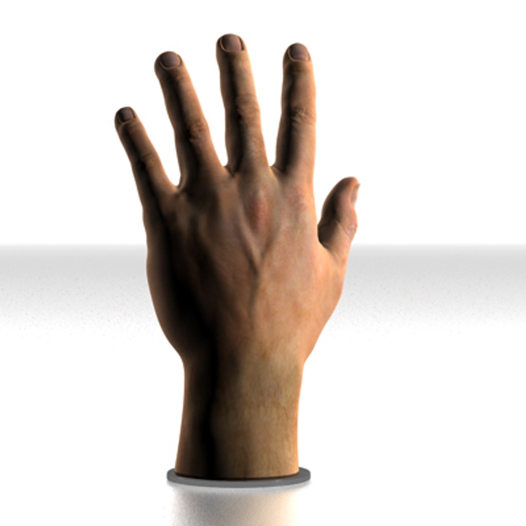 3dsmax Photorealistic Human Hand
