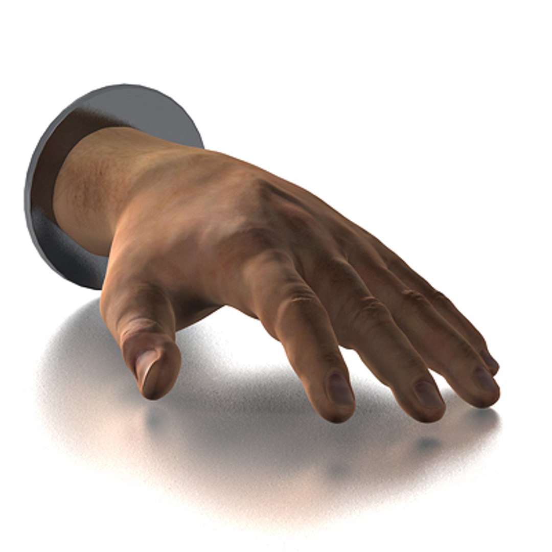 3dsmax Photorealistic Human Hand