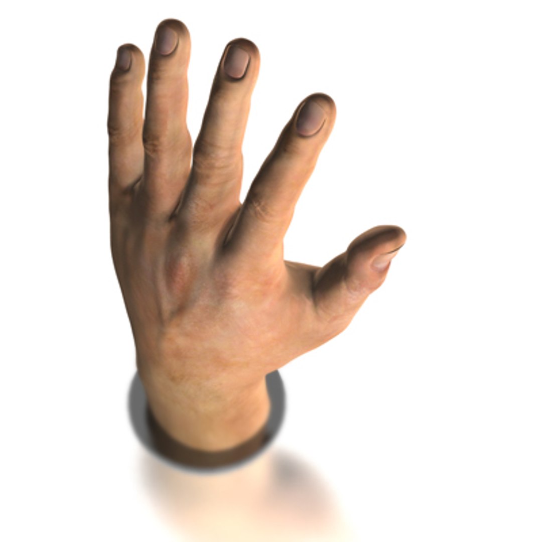 3dsmax Photorealistic Human Hand