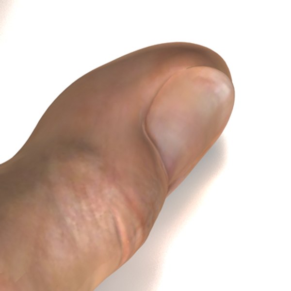 3dsmax photorealistic human hand