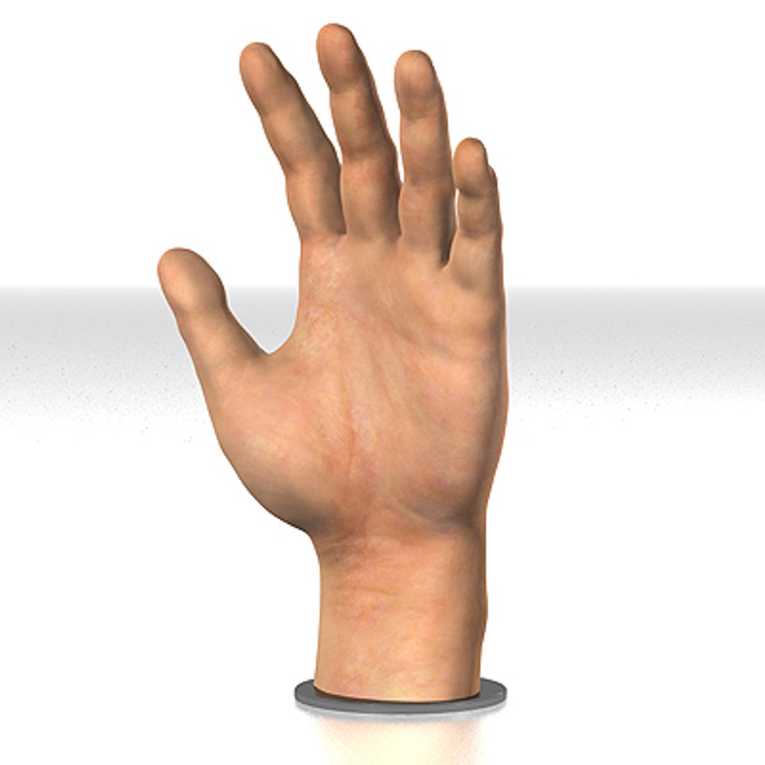 3dsmax Photorealistic Human Hand