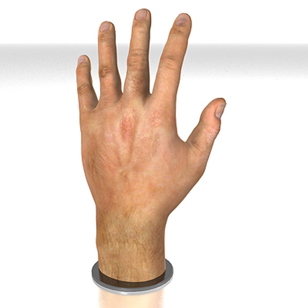 3dsmax Photorealistic Human Hand