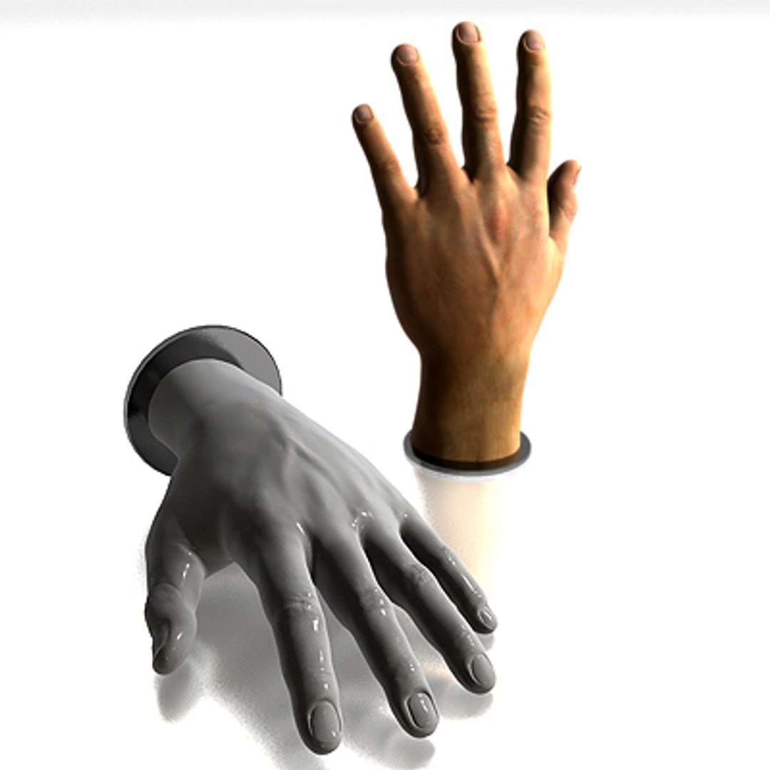 3dsmax Photorealistic Human Hand