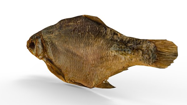 Dried Fish 3D 모델 - TurboSquid 2047364