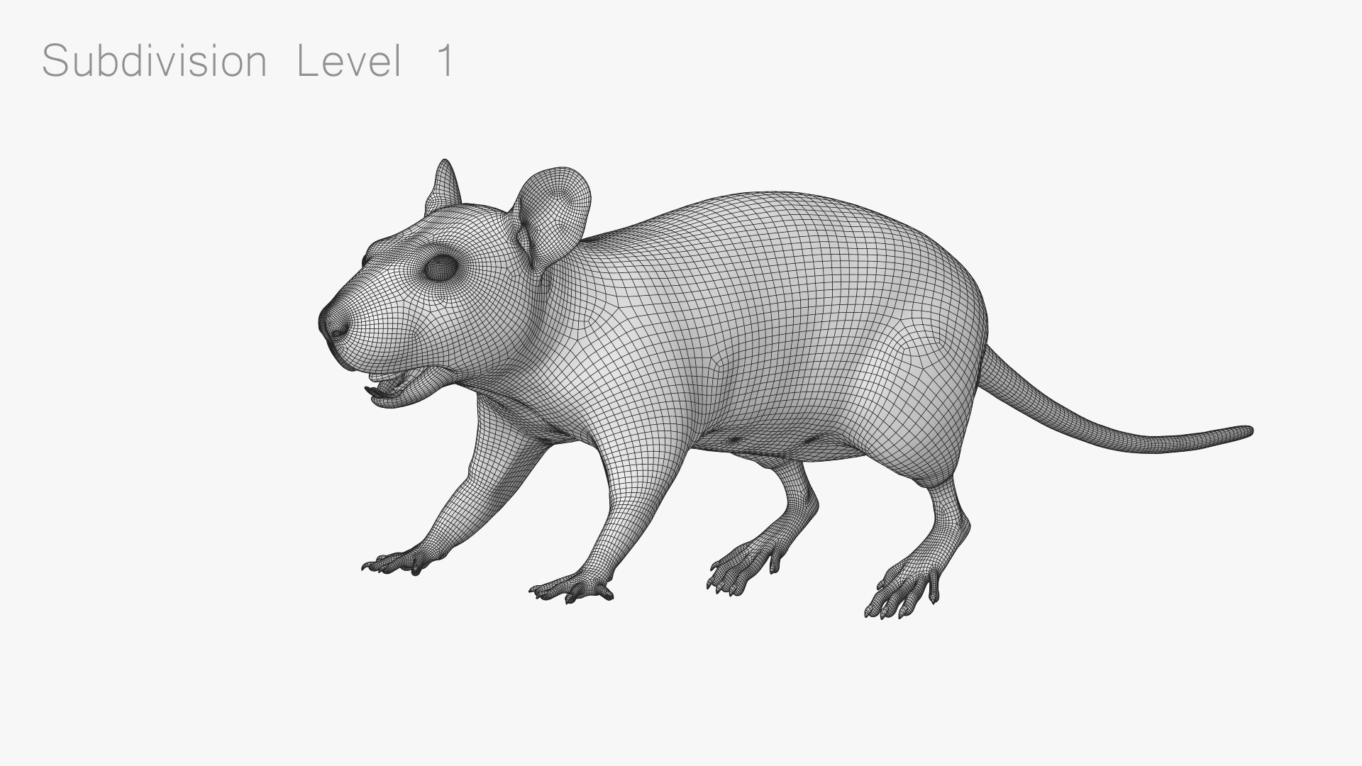 Rat rigged fur animations 3D model - TurboSquid 1503369