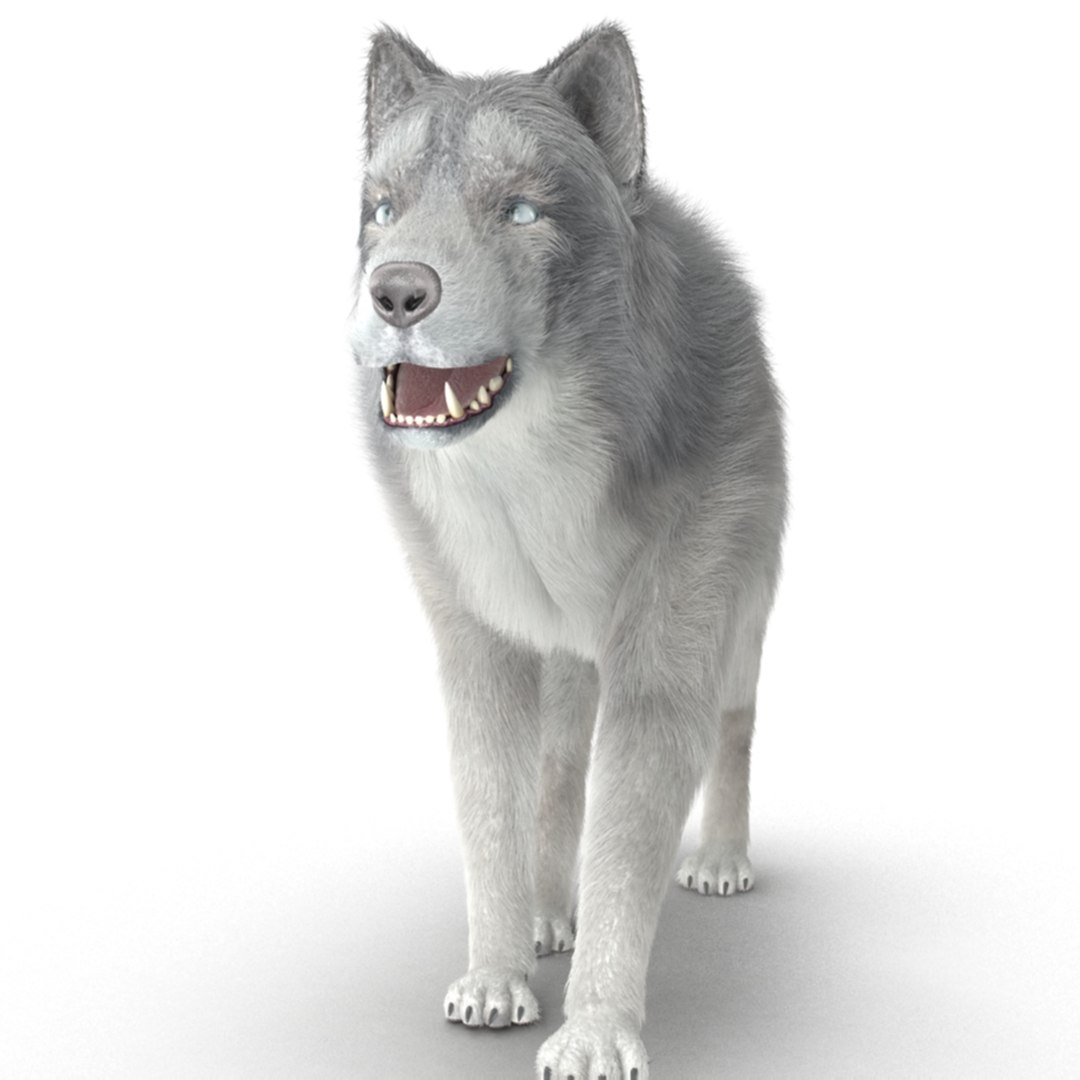 Max Wolf 2 Fur Rigged