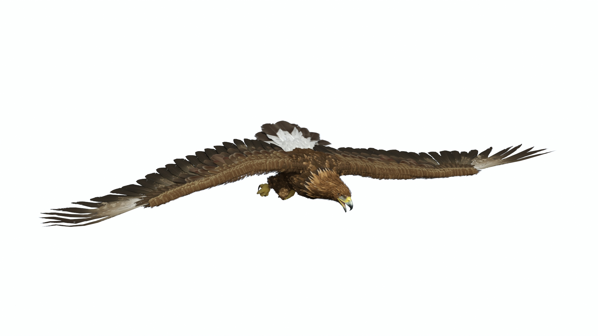gurneys eagle
