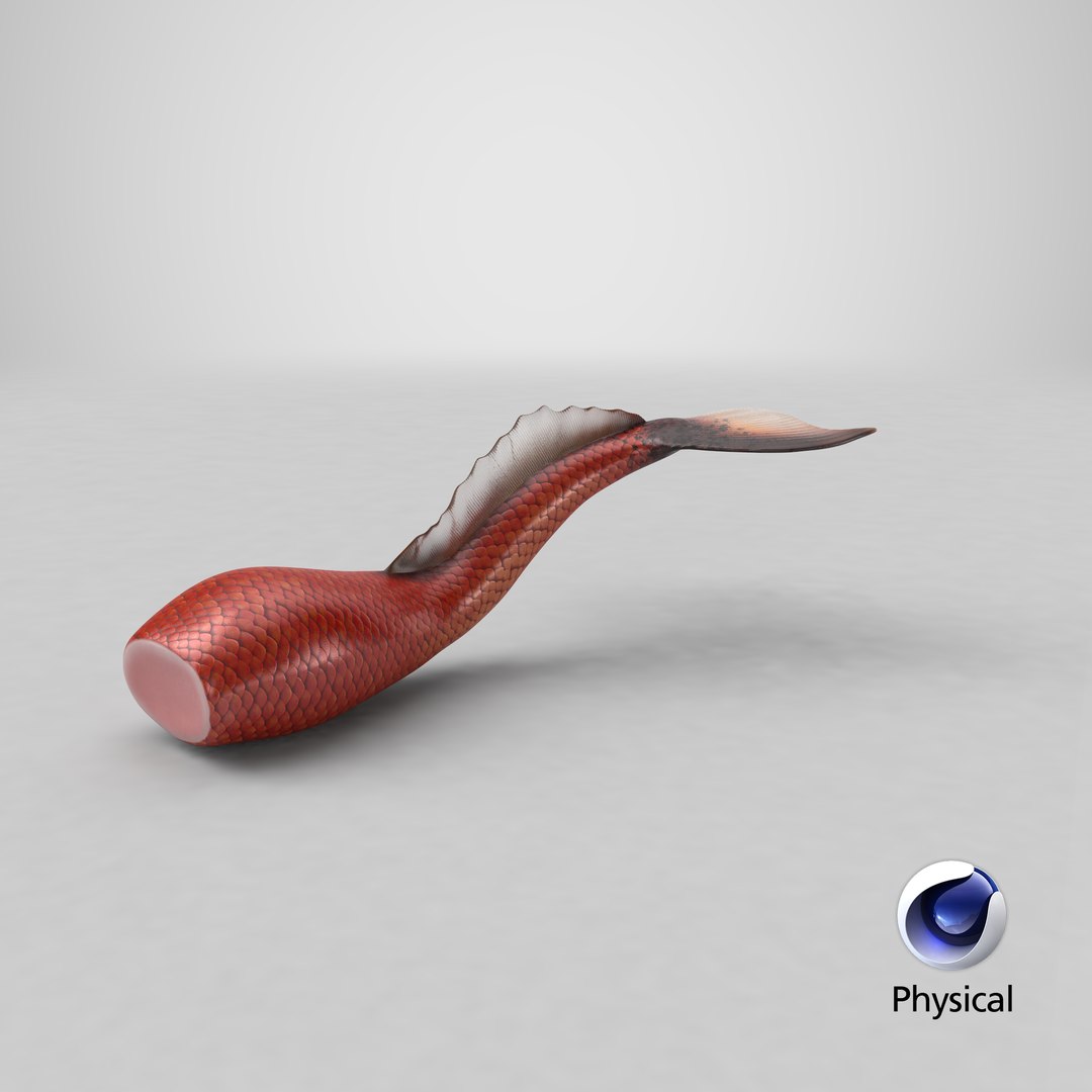 3D mermaid tail 01 swimming - TurboSquid 1243380
