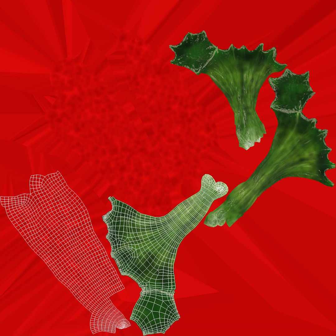 3D Model Chili Pepper Oil With Rosemary - TurboSquid 2405760