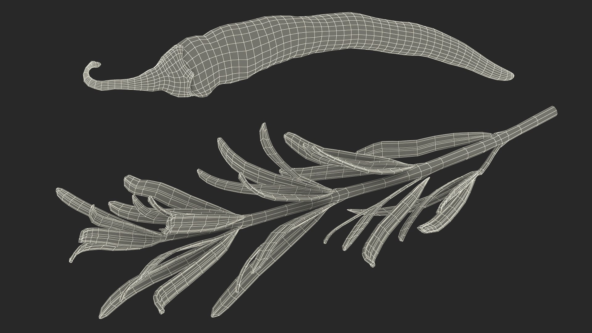 3D Model Chili Pepper Oil With Rosemary - TurboSquid 2405760