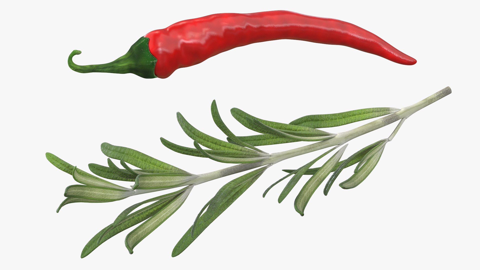3D Model Chili Pepper Oil With Rosemary - TurboSquid 2405760